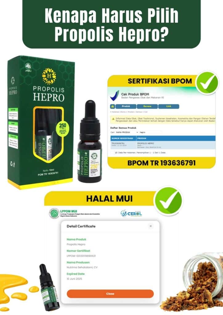 PROPOLIS HEPRO OFFICIAL – Program Sehat Indonesia